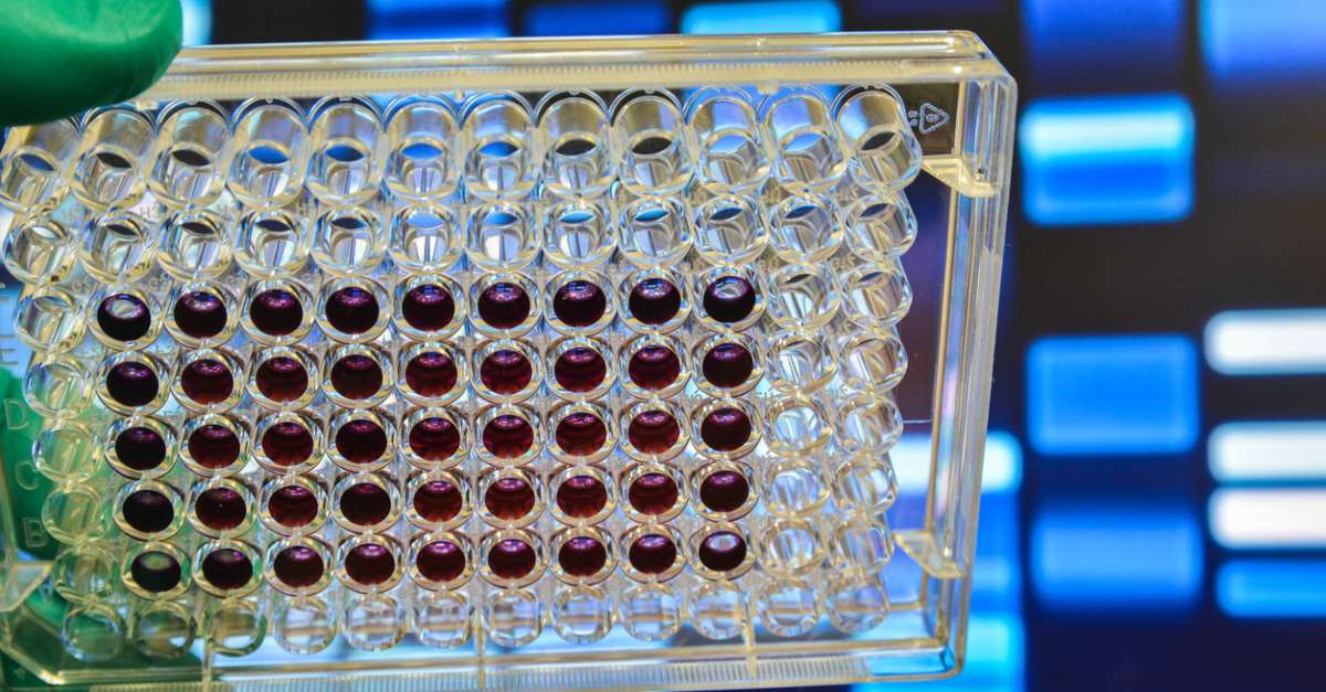 SBRI Healthcare - Modality